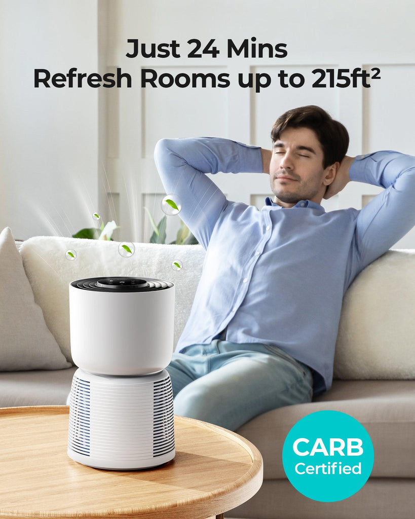 Homvana H201 Air Purifier, True Hepa Level 6 Filter, 360° Filtration ...